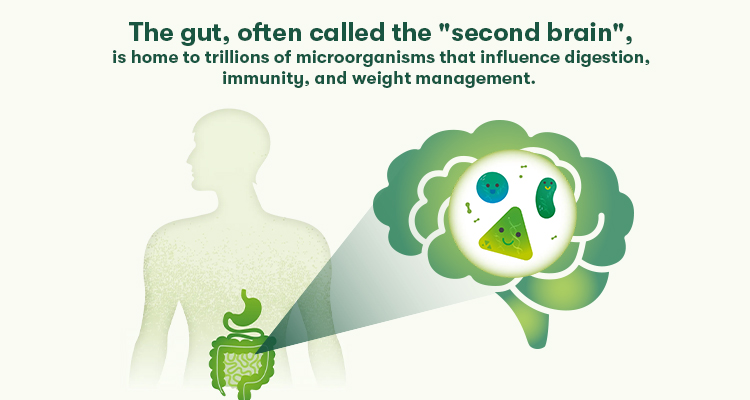 What Does Better Gut Health Mean for Malaysians? | AmwayNow