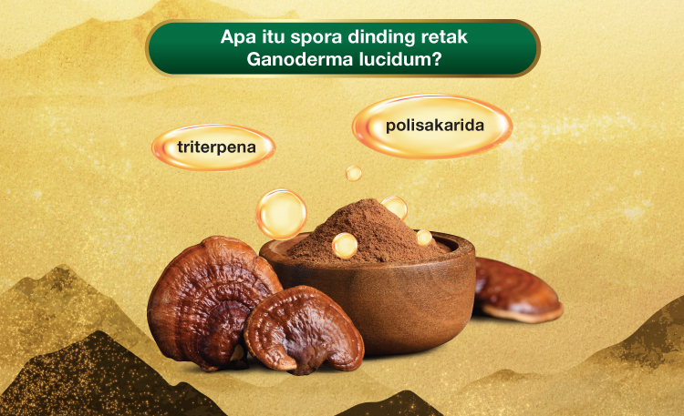 Ganoderma Lucidum: Kebijaksanaan Tradisional Bertemu Kesejahteraan ...