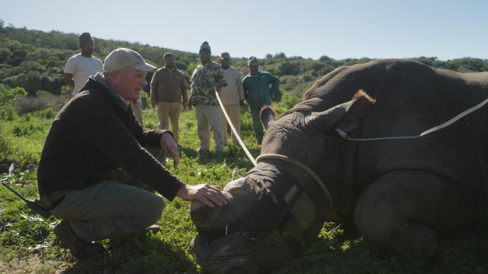 True Crime Awards Nominations for The Great Rhino Robbery | Sky ...