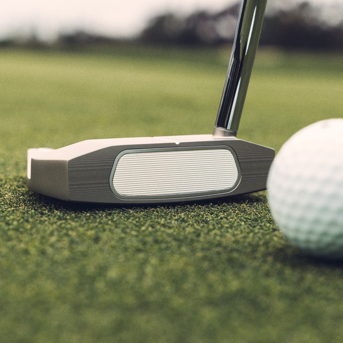 Odyssey Ai-ONE Silver Seven DB Putter | Odyssey Golf