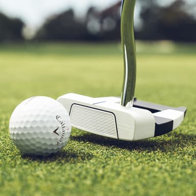 Ai-DUAL Jailbird Mini Putter | Odyssey Golf