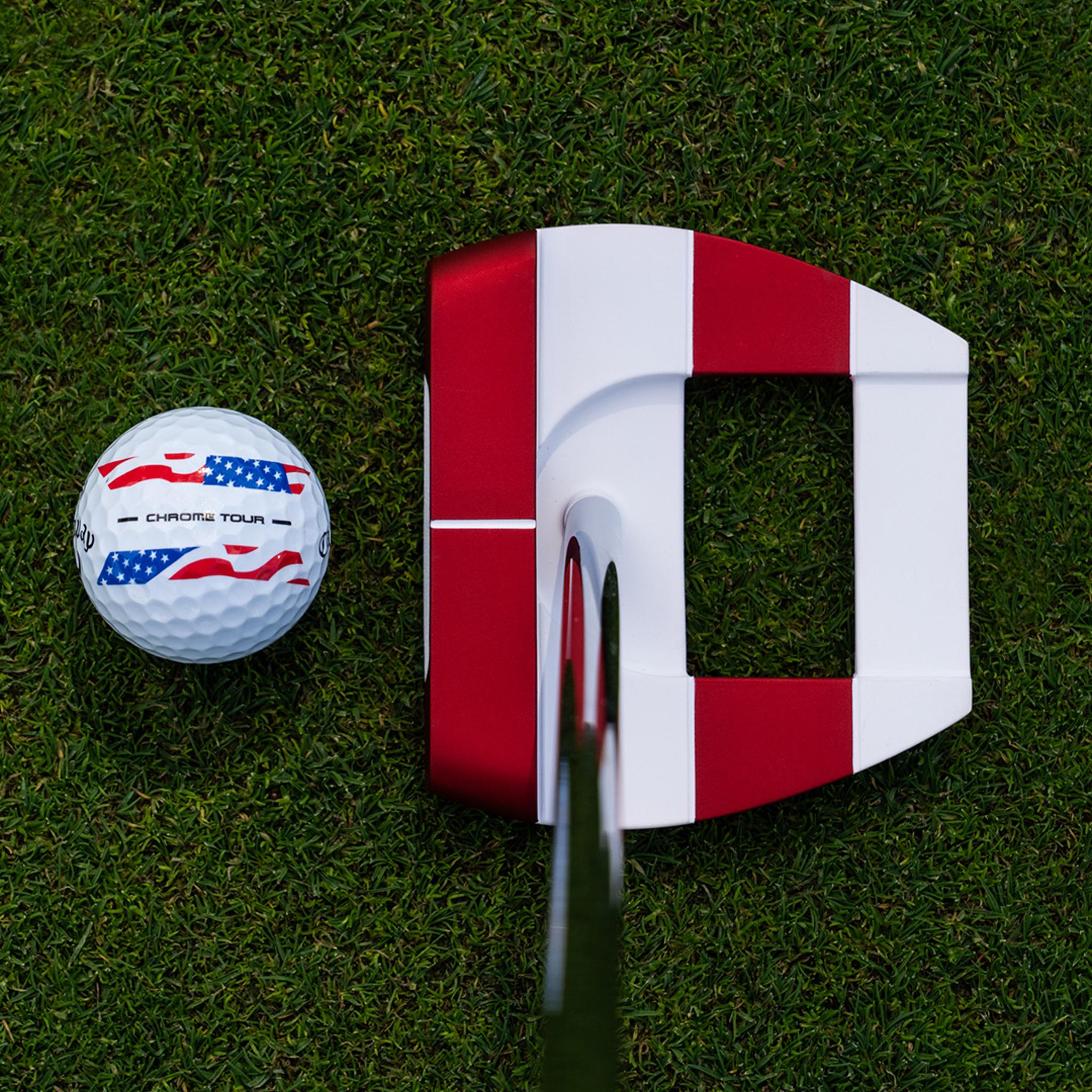 Ai-DUAL USA 250 Square 2 Square Freebird Putter | Odyssey Golf
