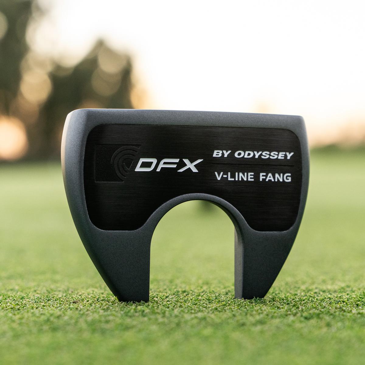 2025 DFX V-Line Fang DB Putter | Odyssey Golf