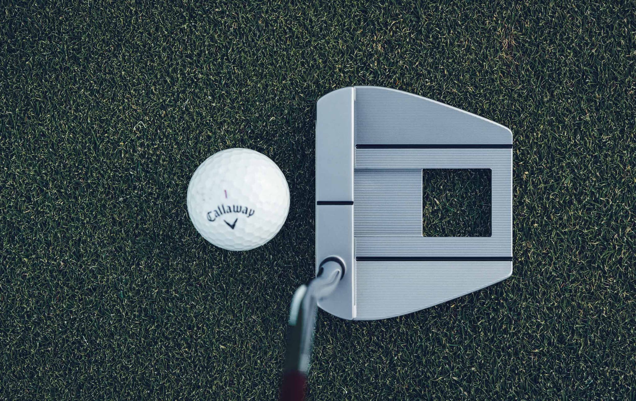 Odyssey White Hot OG #7 Bird Putter | Callaway Golf Pre-Owned