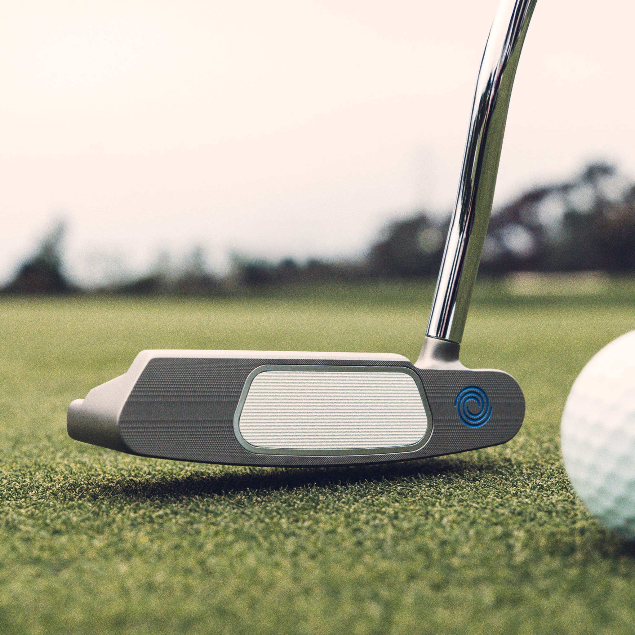 Odyssey Ai-ONE Silver Double Wide DB Putter | Odyssey Golf