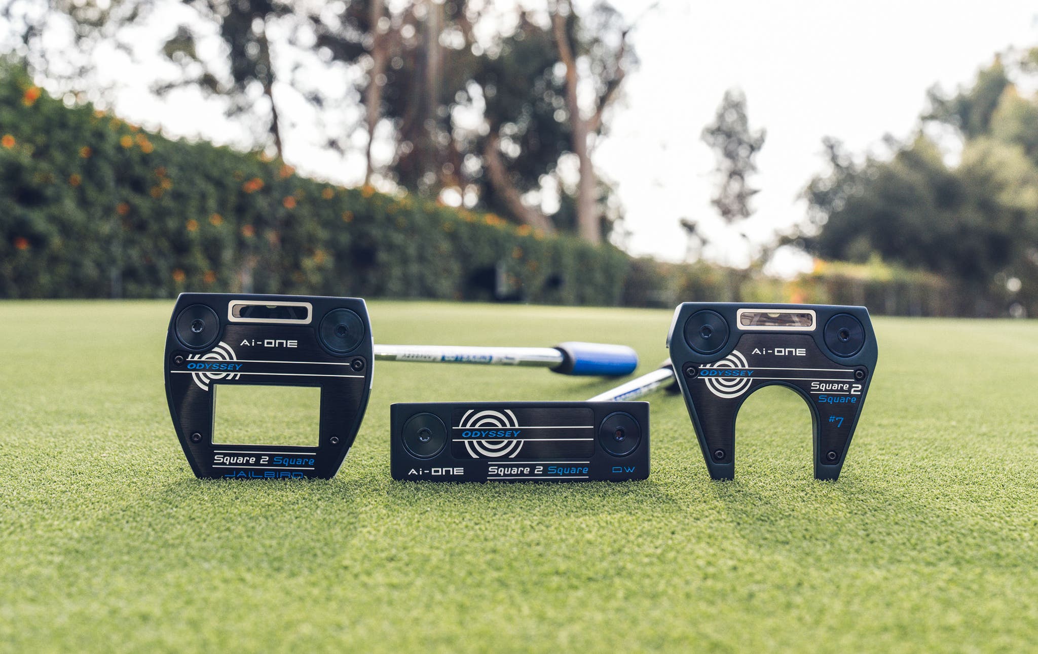 Odyssey Ai-ONE Square 2 Square Family | Zero Torque Putters