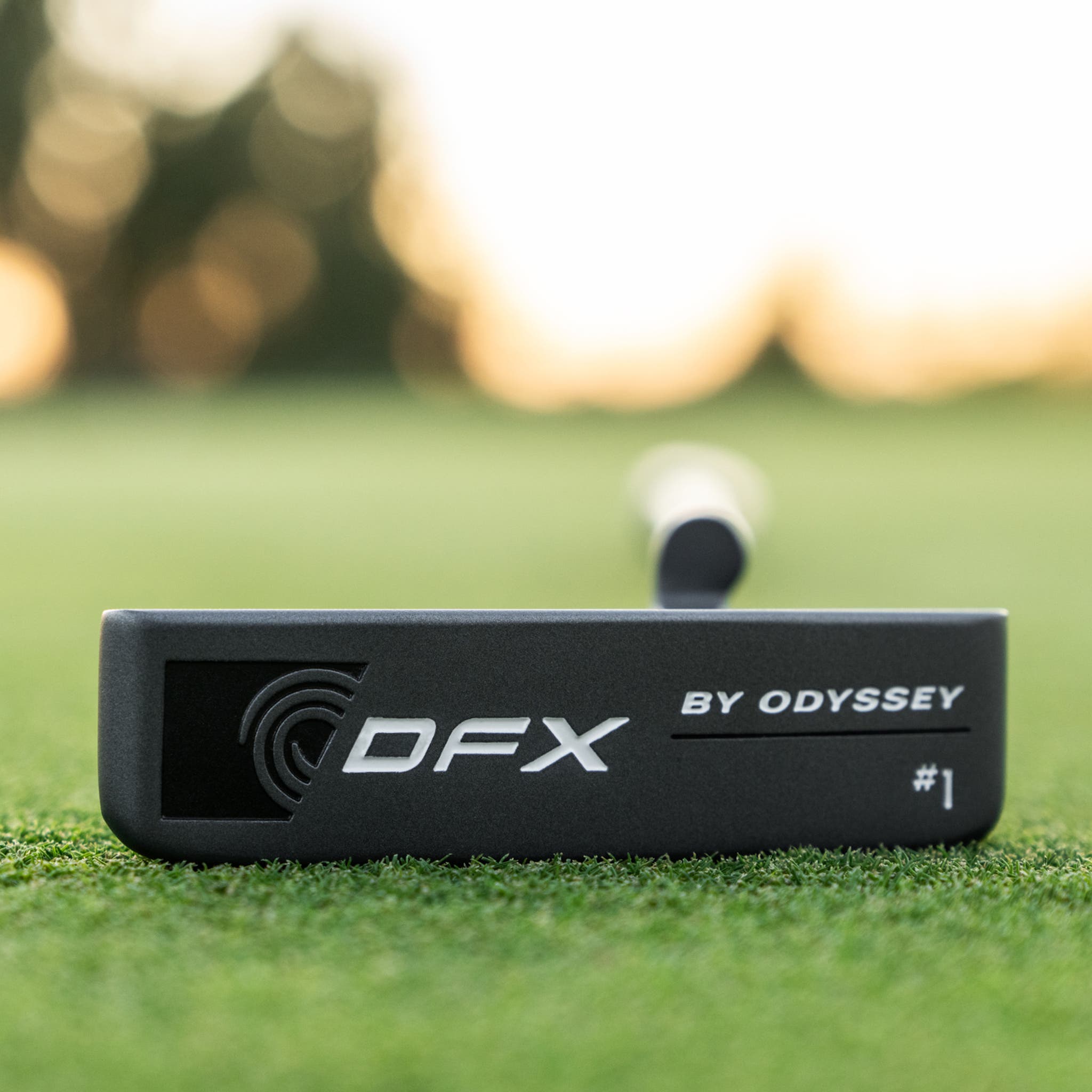 2025 DFX One CH Putter | Odyssey Golf