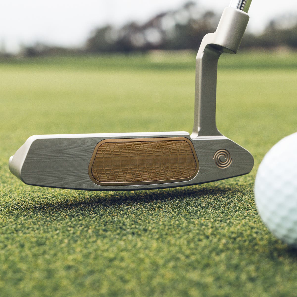Odyssey Ai-ONE Silver Milled Two T CH Putter | Odyssey Golf